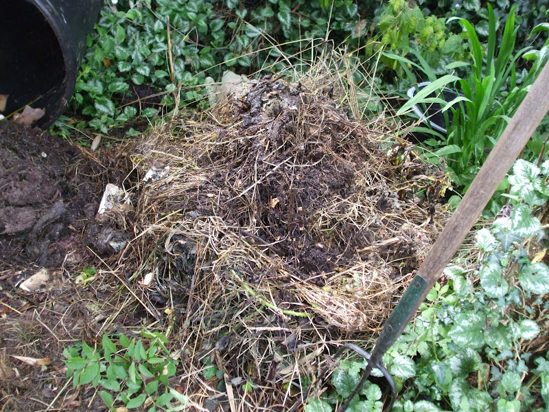 The Compost Bin: Hot Bin trial after 4 weeks - first sight behind the ...