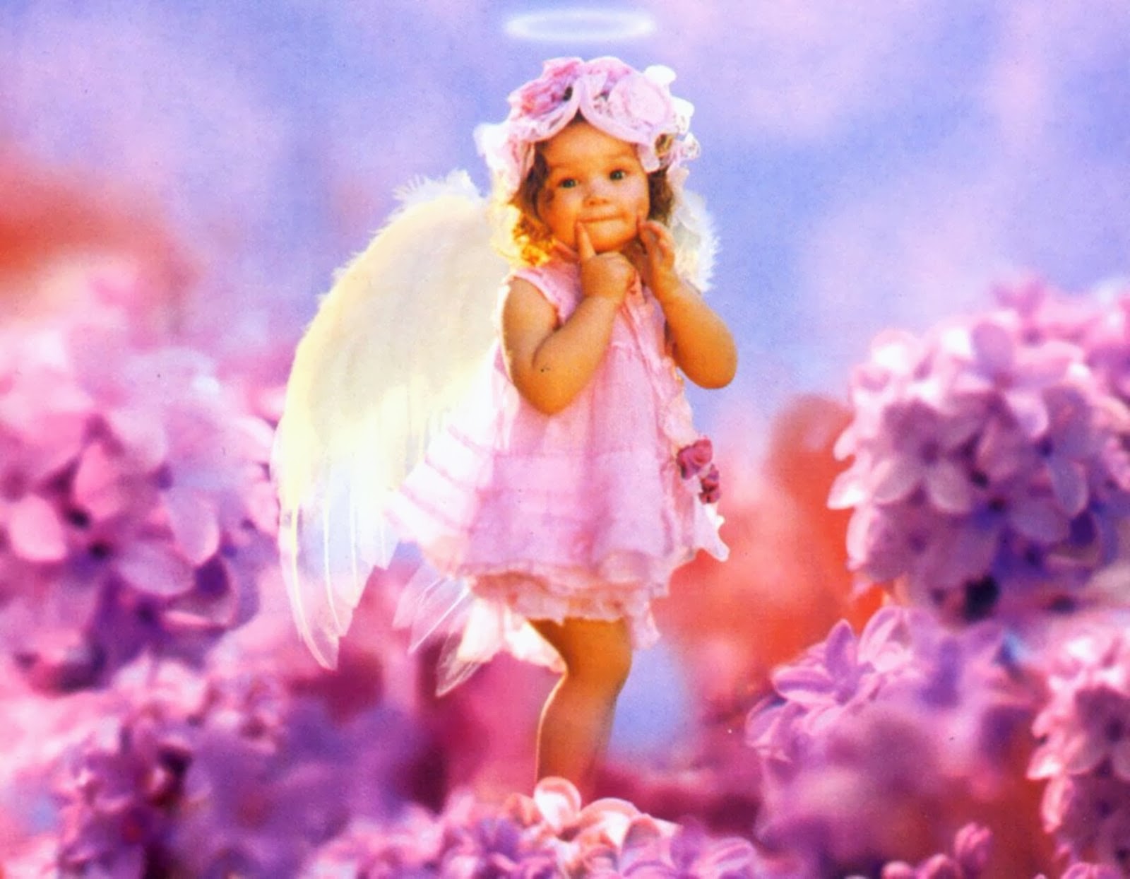 Anjinhos - Navegando entre UMAS e OUTRAS...