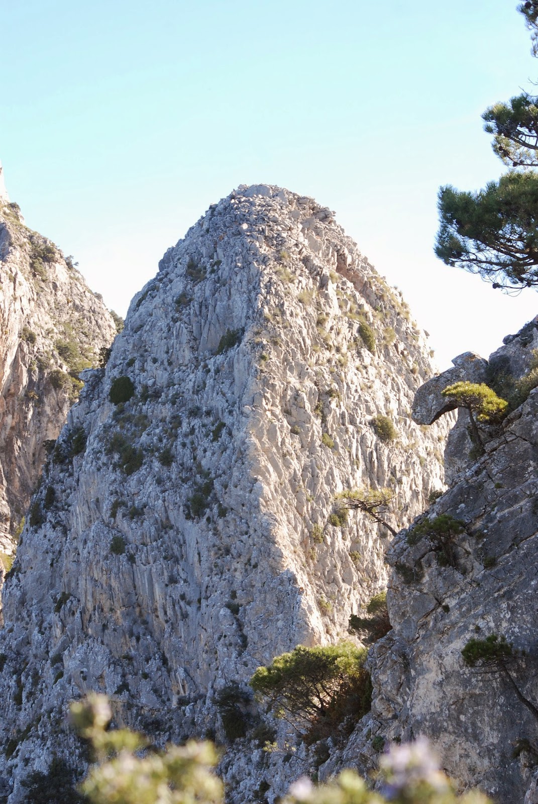 ZAPAS VOLADORAS: SUBIDA AL PICO ALMENDRON