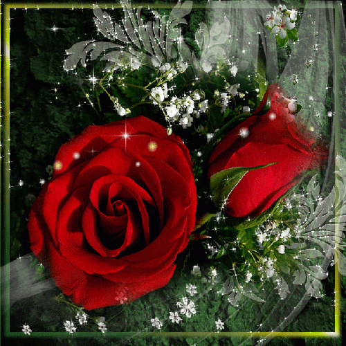 Gif_ROSES_ Animated Images_1_(20 item) | Joy Design Studio