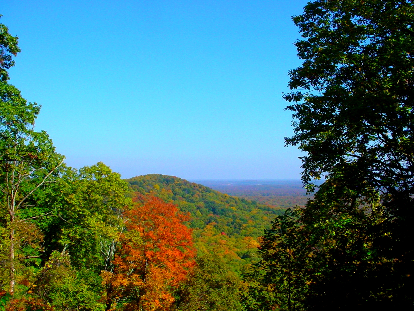 Indiana Historical Marker - Clark State Forest