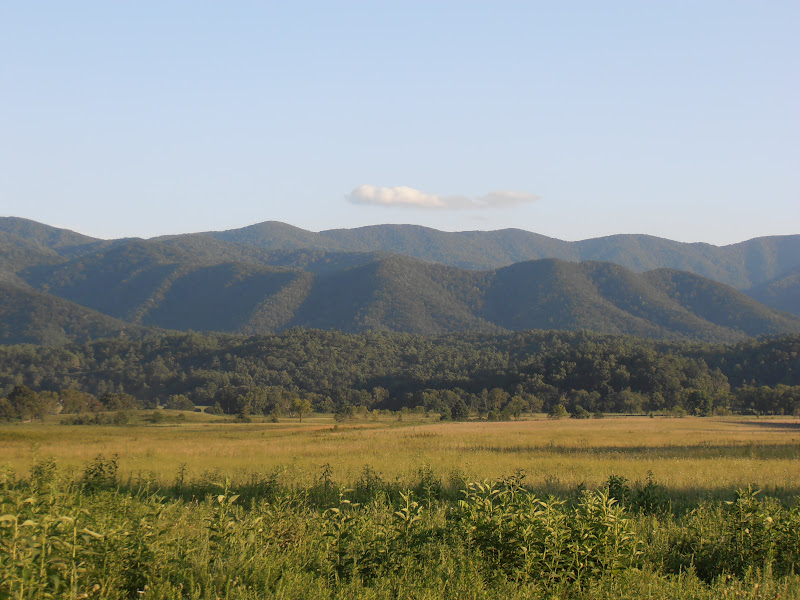 American Travel Journal: Cades Cove and Rich Mountain Road