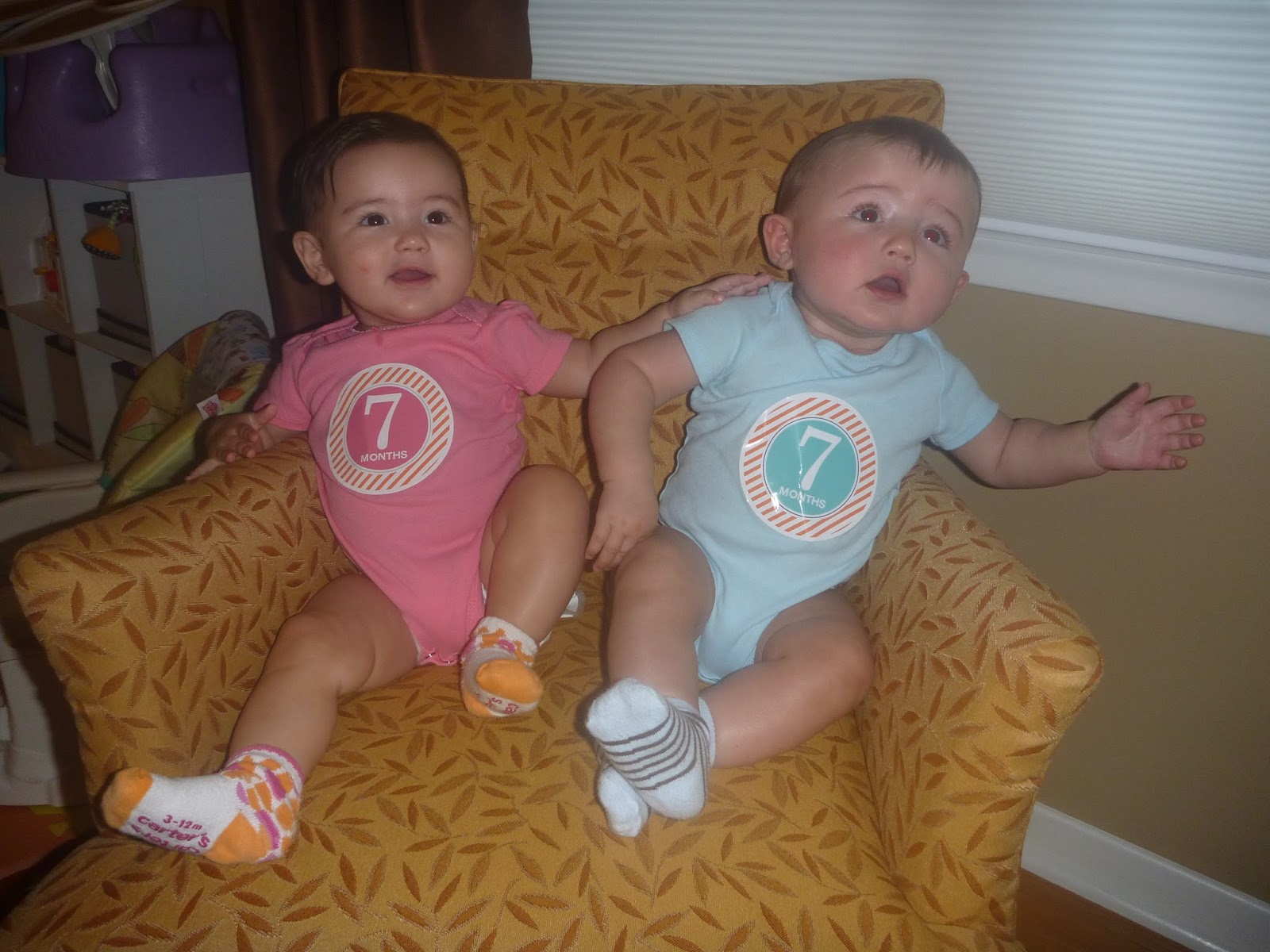 Twinsanity: Seven Months Old!