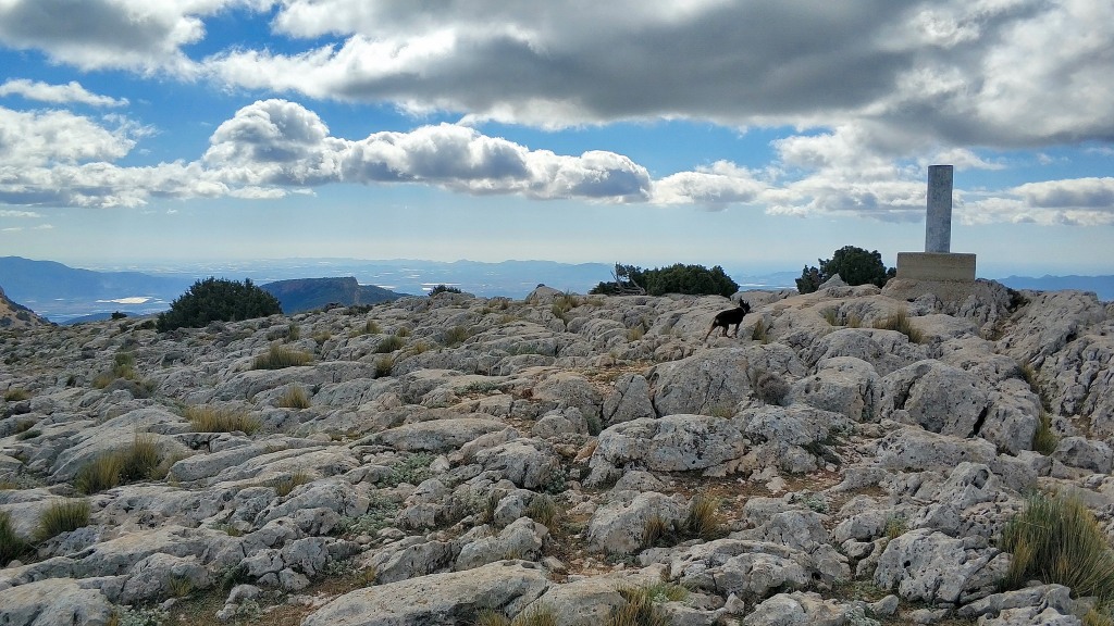 Collado Mangueta-Pozos de la nieve de Cartagena-Pedro López-Cerro Pinos ...