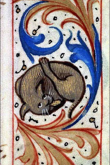 Grace Elliot - blog.: Medieval Monks, Marginalia, and Cats