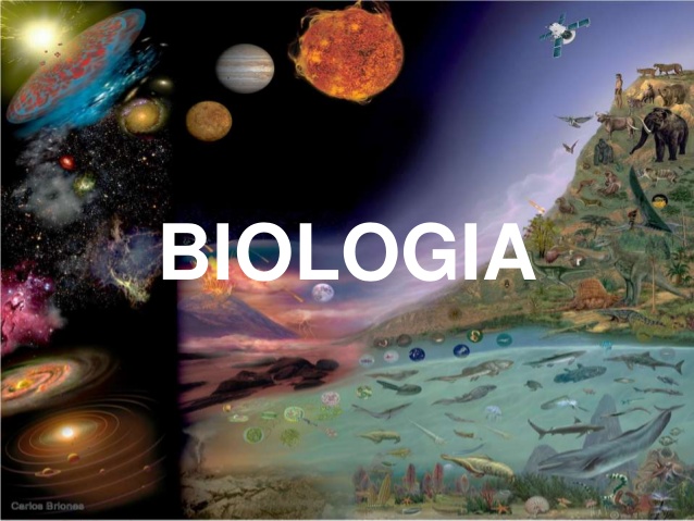 Biologia: ¿QUE ES LA BIOLOGÍA.?