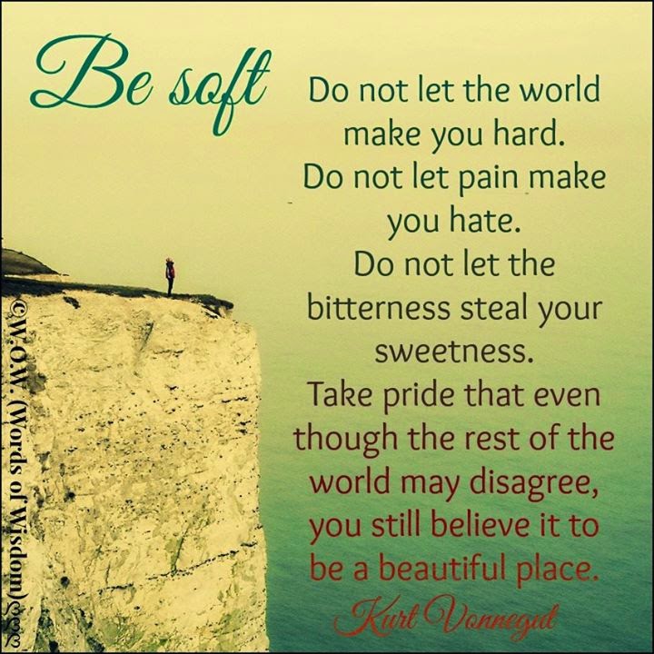 BE SOFT DO NOT LET THE WORLD MAKE YOU HARD. DO NOT LET PAIN MAKE YOU ...