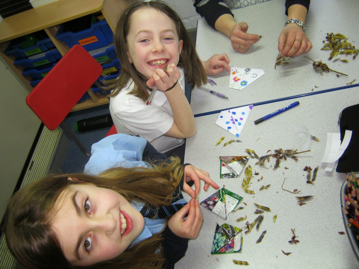 Martham Primary School: Gardening Club Update