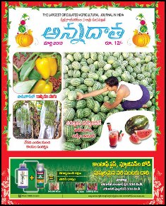 TELUGU WEB WORLD: Annadata March 2013,Eenadu monthly