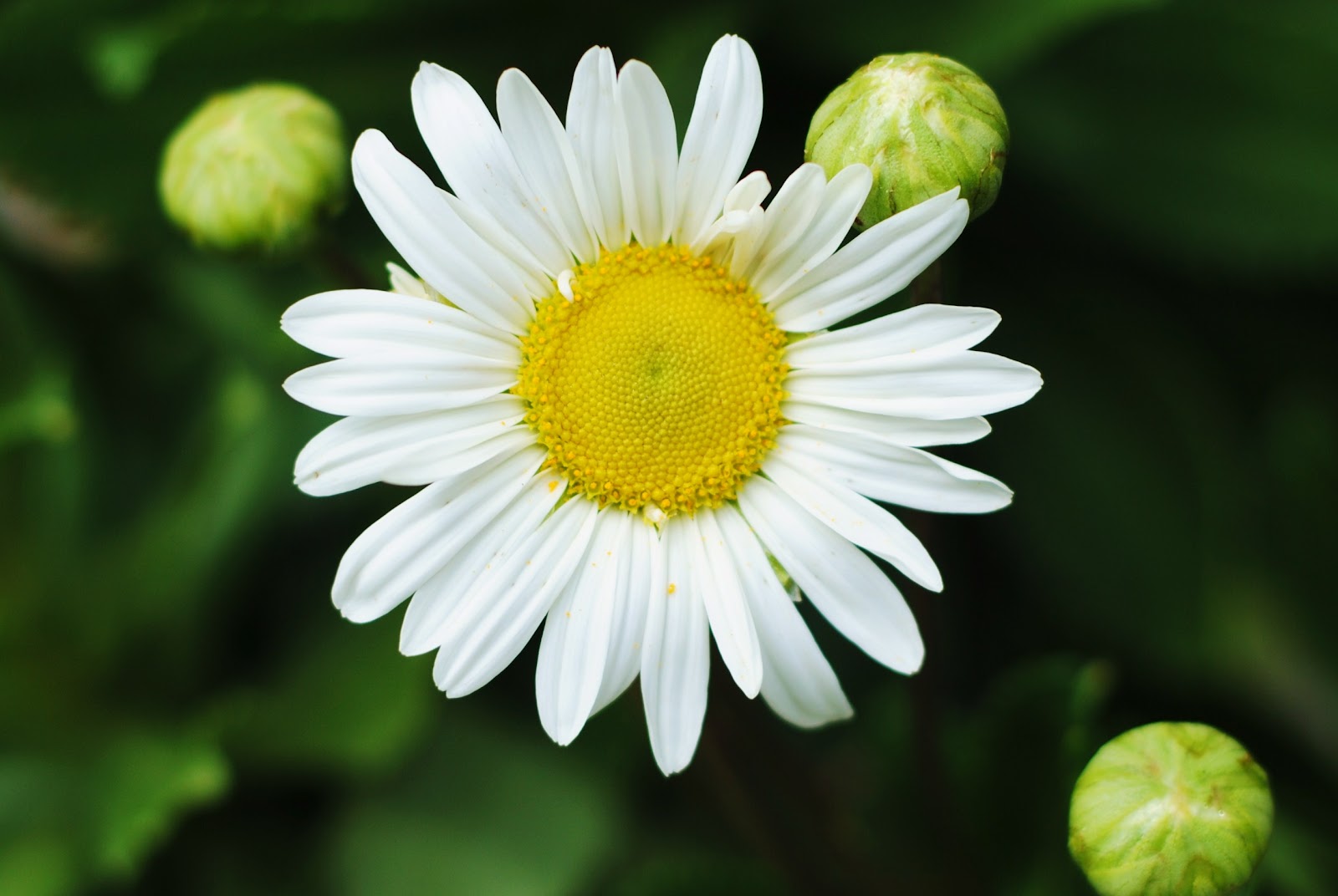 Life According to Jan and Jer: Gallery