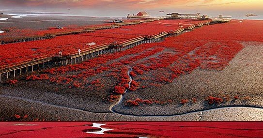 The mysteries of the world: Red Beach