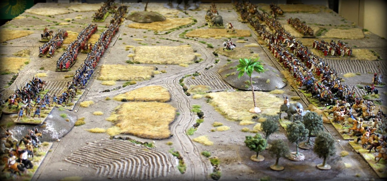 The BigRedBatCave: Thapsus, part the first