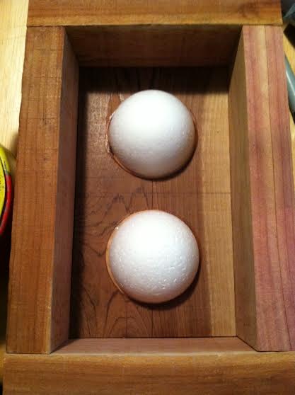 Figs Fort Smith!: Foil Ball Air Layering of Figs