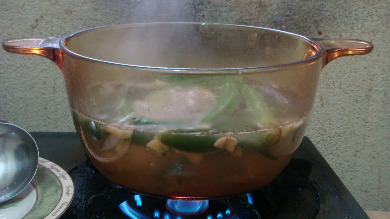 KaSih AbAdI...@@: Periuk kaca Vision