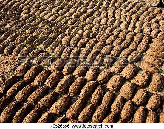 bagchiblog: Our Life. Our Times :: 7 :: E-tailing cow-dung