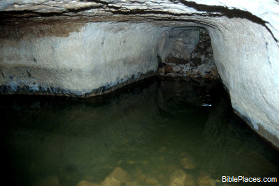 A Layman Looks at the Word: David - A Man After God's Heart - Part 3