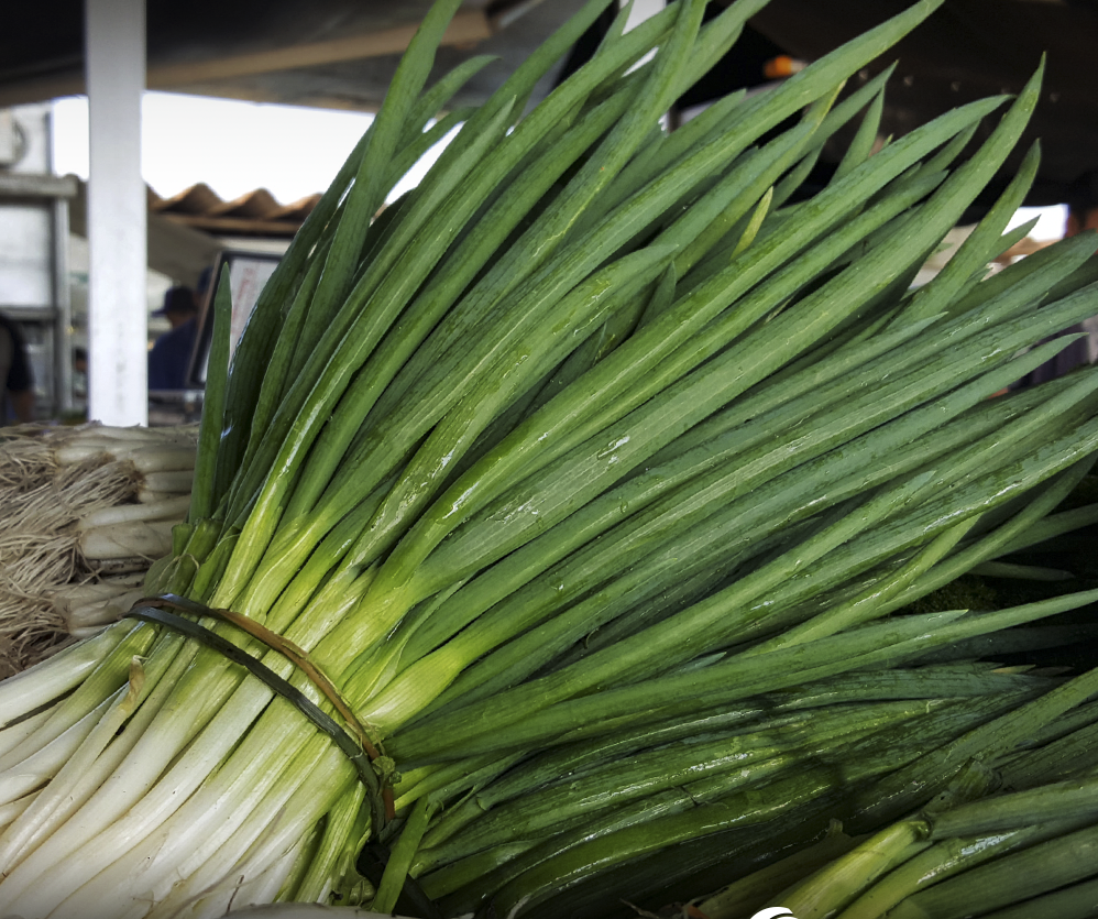 Conheça os benefícios da cebolinha, o produto destaque da semana (24/07)