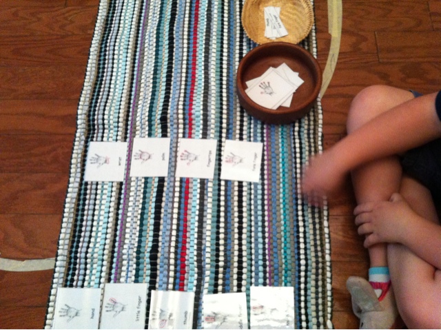 Our Montessori Homeschool: Parts of a Hand (Nomenclature Cards)