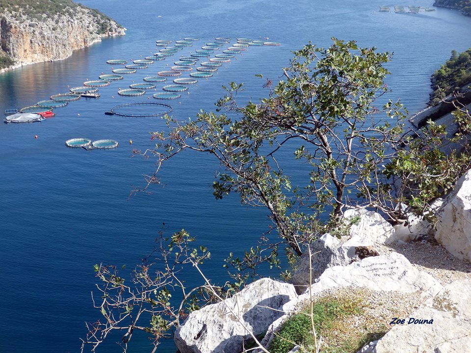 Homo Universalis: ΕΡΜΙΟΝΙΔΑ - ΦΩΤΟΓΡΑΦΙΚΟ ΑΛΜΠΟΥΜ ΤΗΣ ΖΩΗΣ ΔΟΥΝΑ