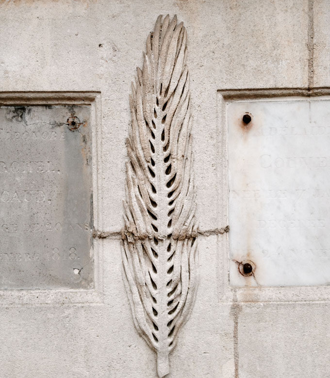 janvier 2016 | Mary & Patch