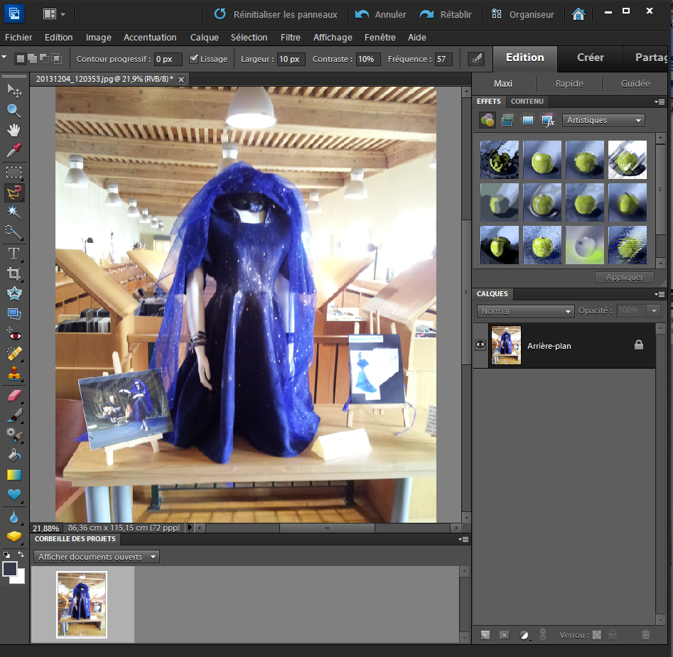 L'atelier numérique des arts: Adobe Photoshop Elements, logiciel de ...