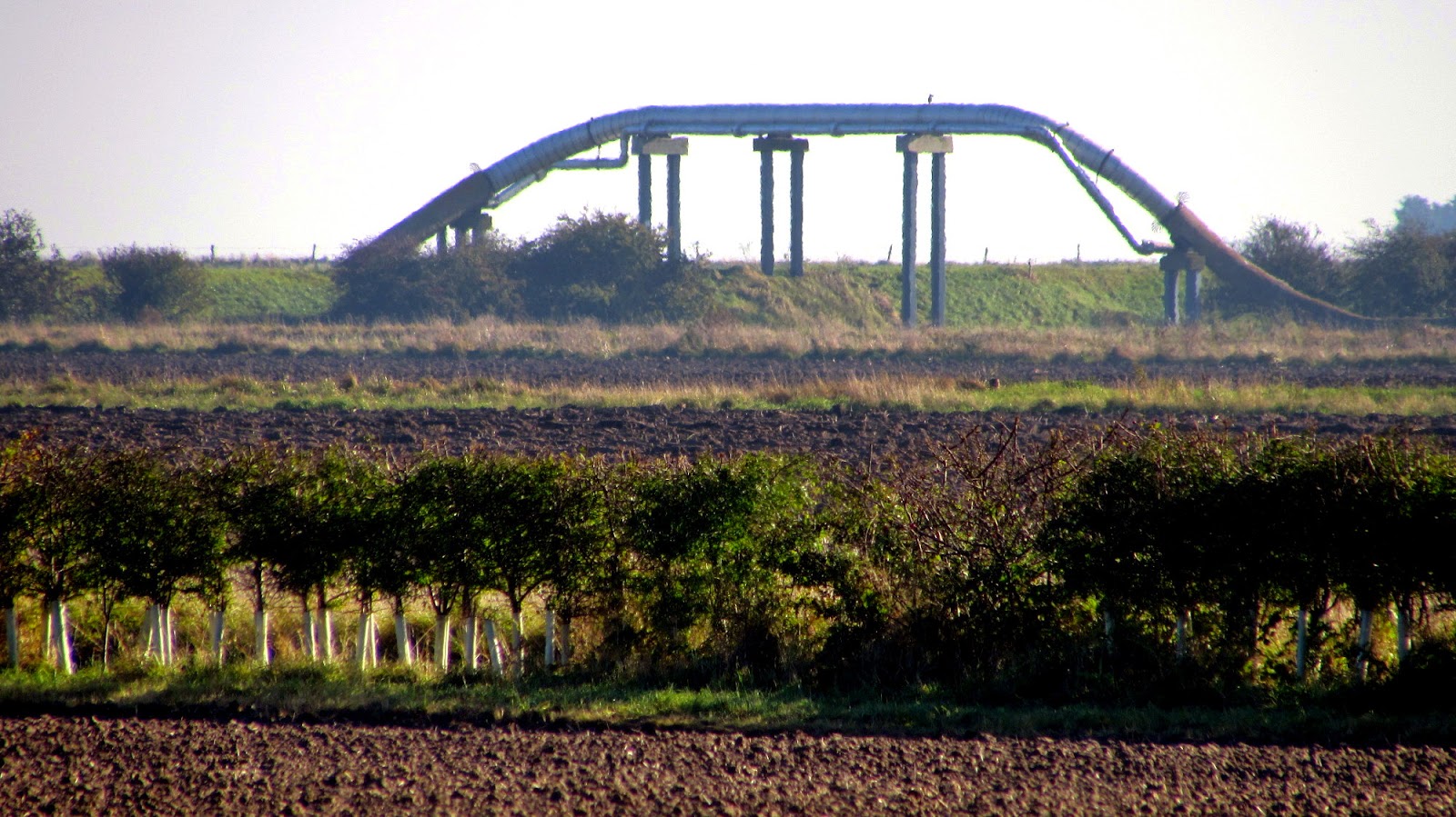 The Glebe Blog: North Lincolnshire Sunday - A short ramble.