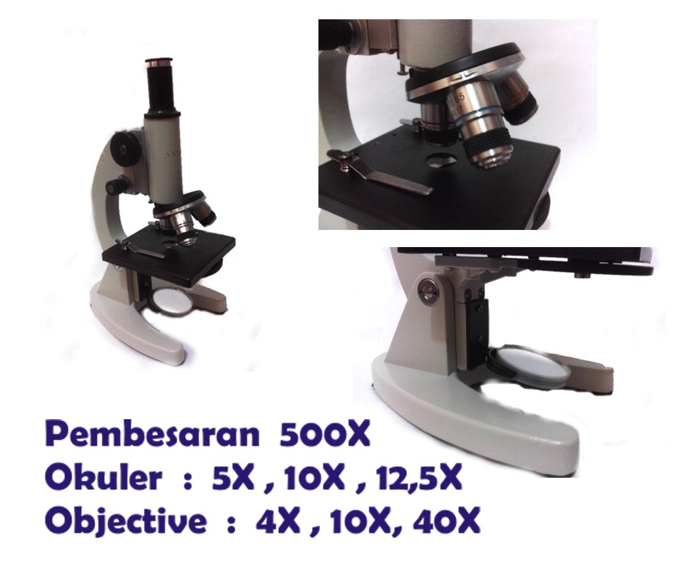 Mikroskop multimedia: Mikroskop Monokuler Pembesaran 500 X