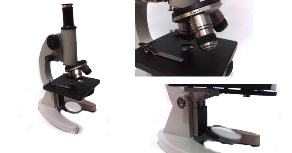 Mikroskop multimedia: Mikroskop Monokuler Pembesaran 500 X