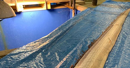 Earthquake Prediction: Sightings of rare oarfish in Japan raise fears ...