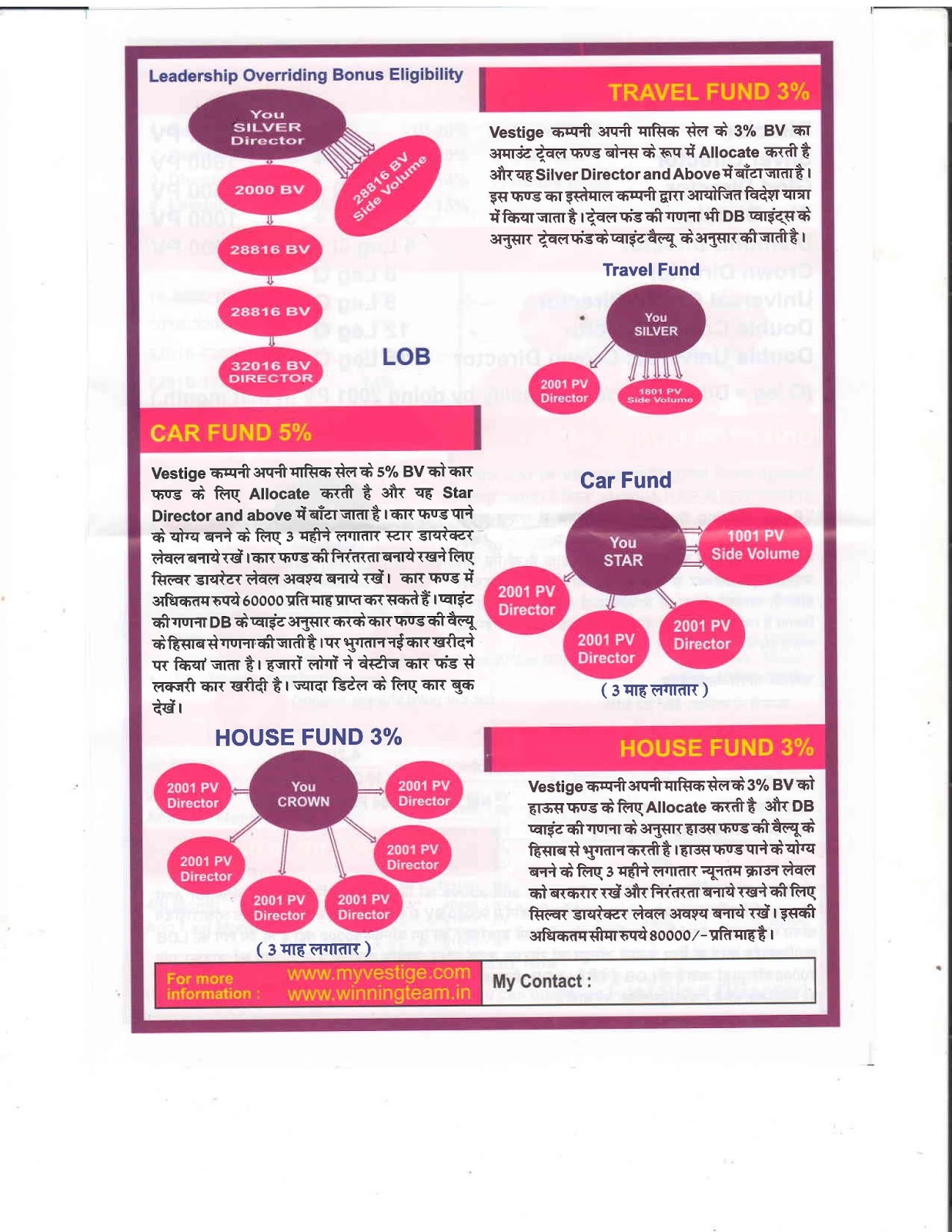 Earn Genuine Extra Huge Income through Vestige Products.: # INCOME & LEVELS