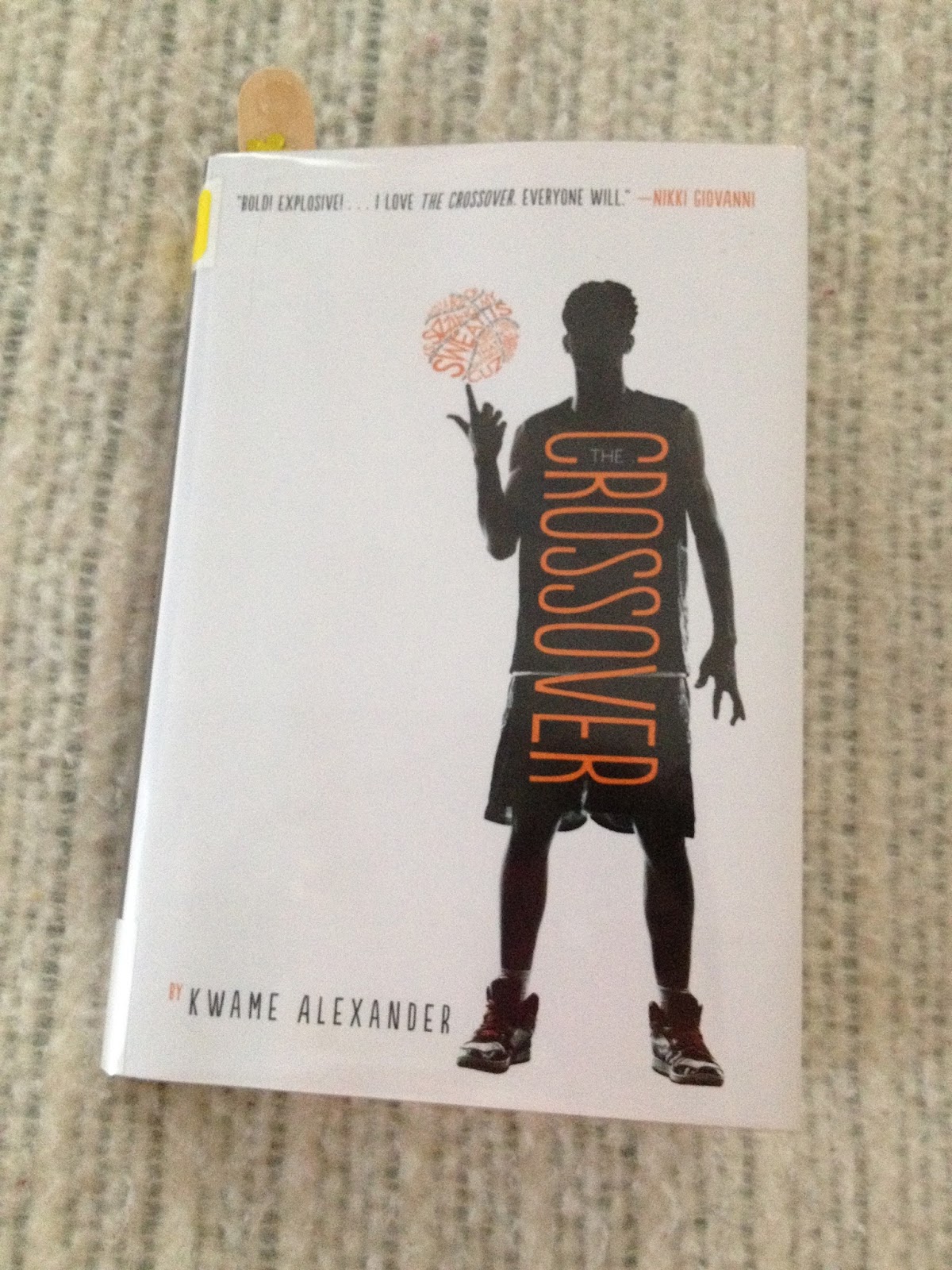 Librarian Leaps: The Playbook: 52 Rules to Aim, Shoot, and Score in ...