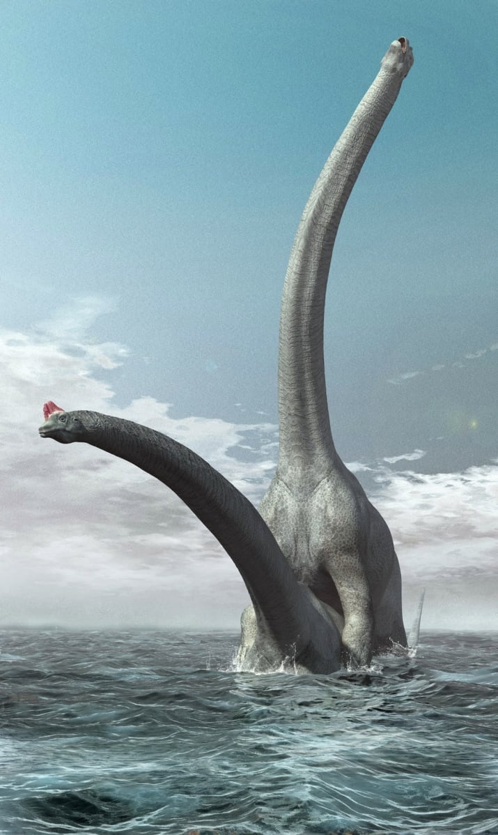 Fundacion Dinosaurios Cyl Por Qué El Porno De Dinosaurios Es Vital Para La Ciencia