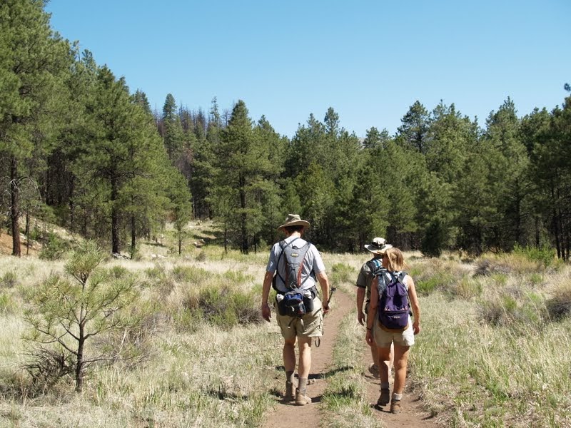 Arizona Hiking: SANDY'S CANYON