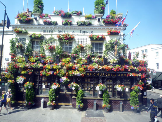 margaret-cooter: Bloomin' 'eck