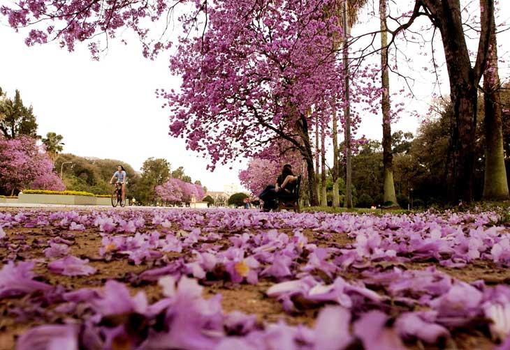 Blog da Beta: PRIMAVERA NO ANIVER DO BLOG