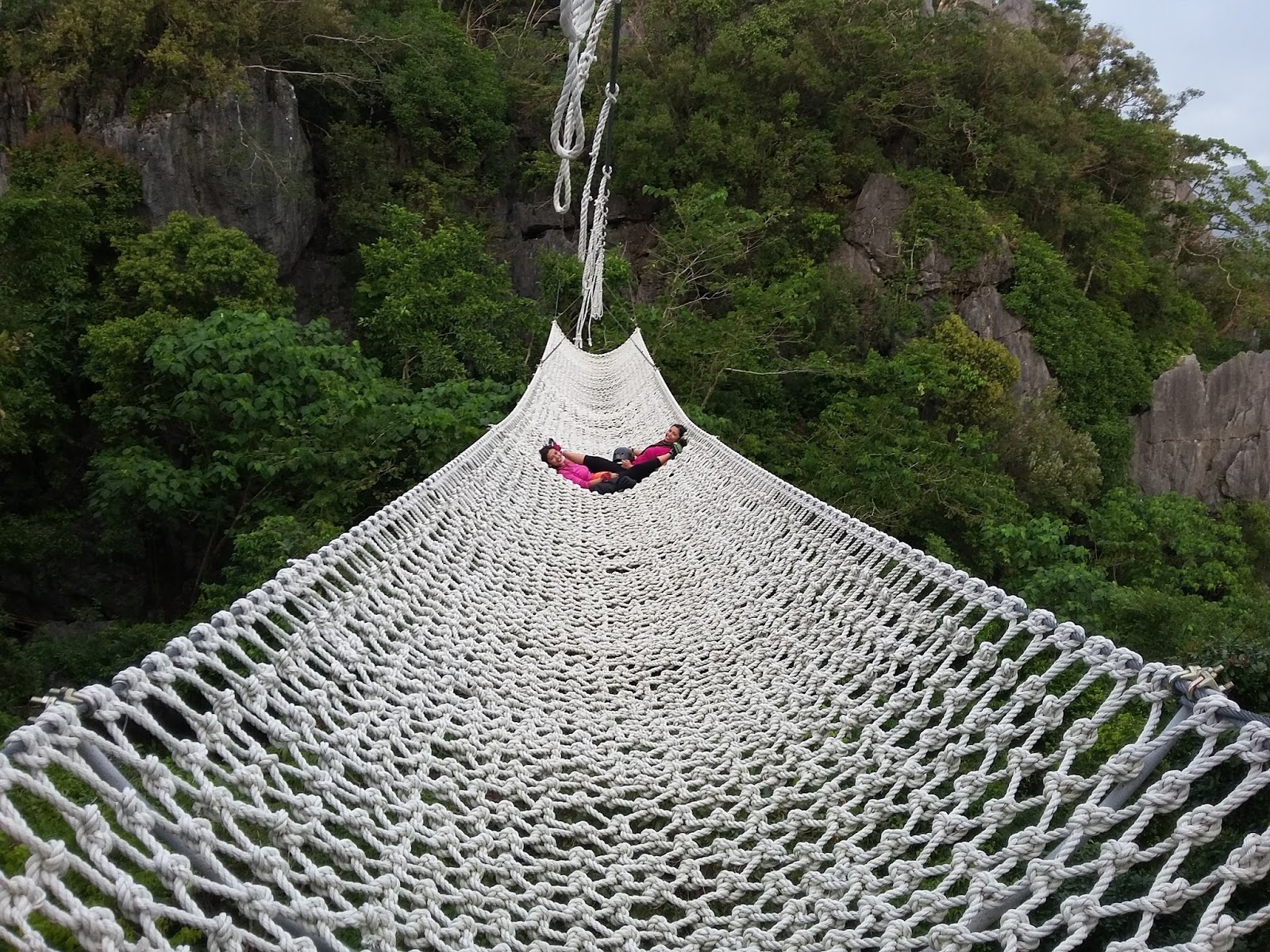 Giant Spider Wed - Mt. Masungi , Tanay , Rizal
