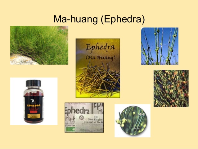 EXAMS AND ME : Ma Huang To Ephedrine