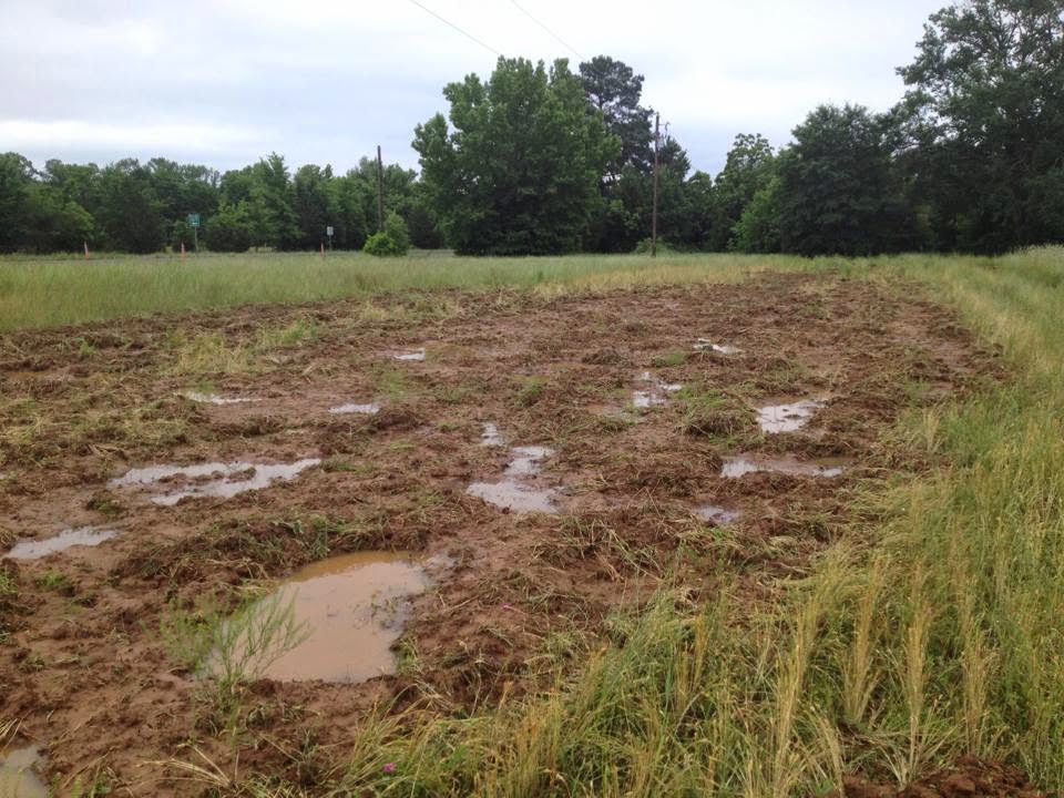 Elliott Family Farms