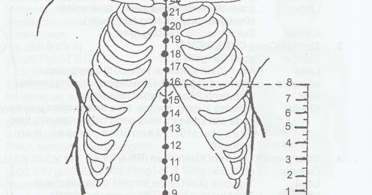 Akupunktur: Meridian Istimewa Ren / Conception Vessel (CV)