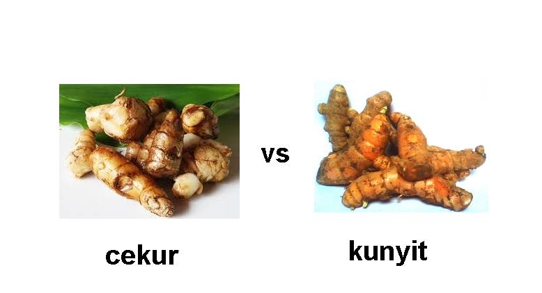 DIANTARA CEKUR DAN KUNYIT