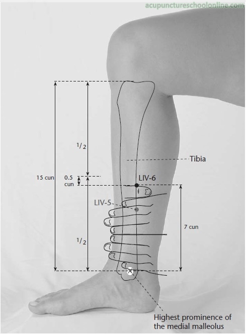 Jarum Sakti: Meridian Jue Yin Kaki/Liver