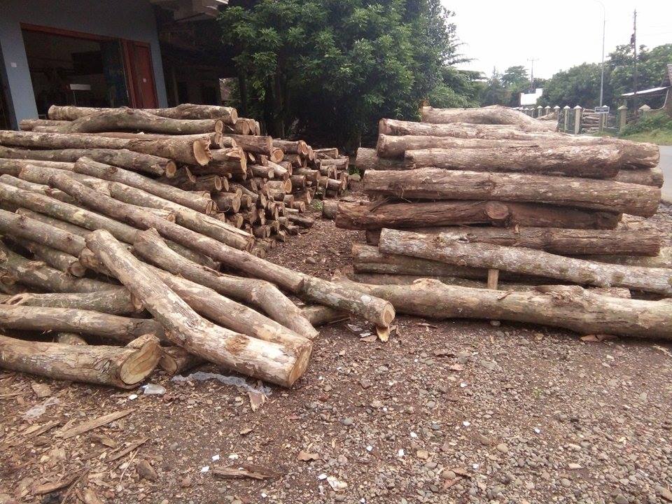 BALOK DL, OP, OD | KAYU BALOK