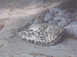 USA Trip: Cincinnati - part 2 (Tuesday 18th September)