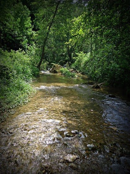 Mundos propios: L’OR DE LA RIERA DE RIUDAURA