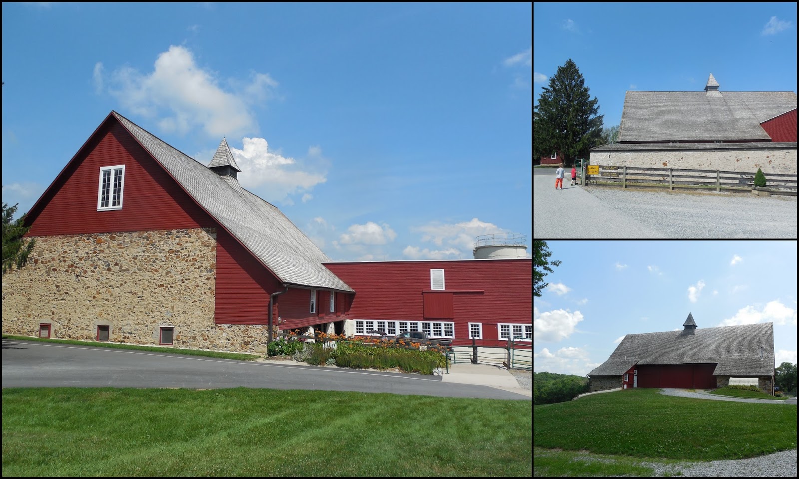 Springton Manor Farm