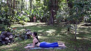 Wake Up and Be Thankful - Good Morning Gratitude - Yoga with Kassandra Blog