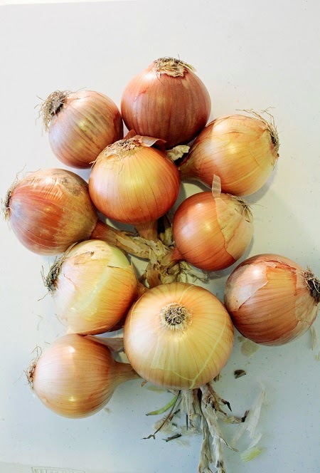 How to Braid Onions for Storage