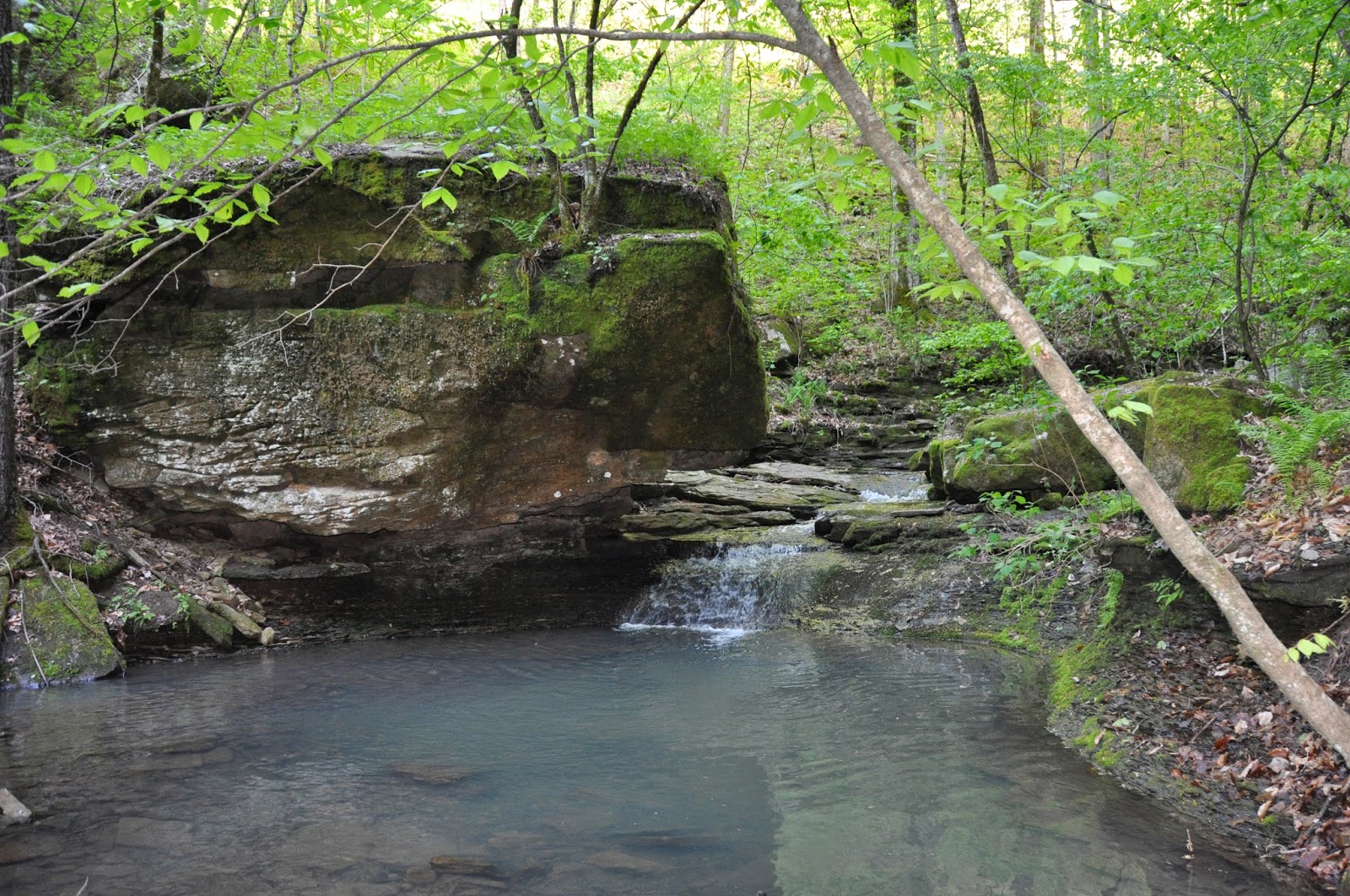 Rick's Hiking Blog: Pack Rat Falls, Arkansas Ozarks