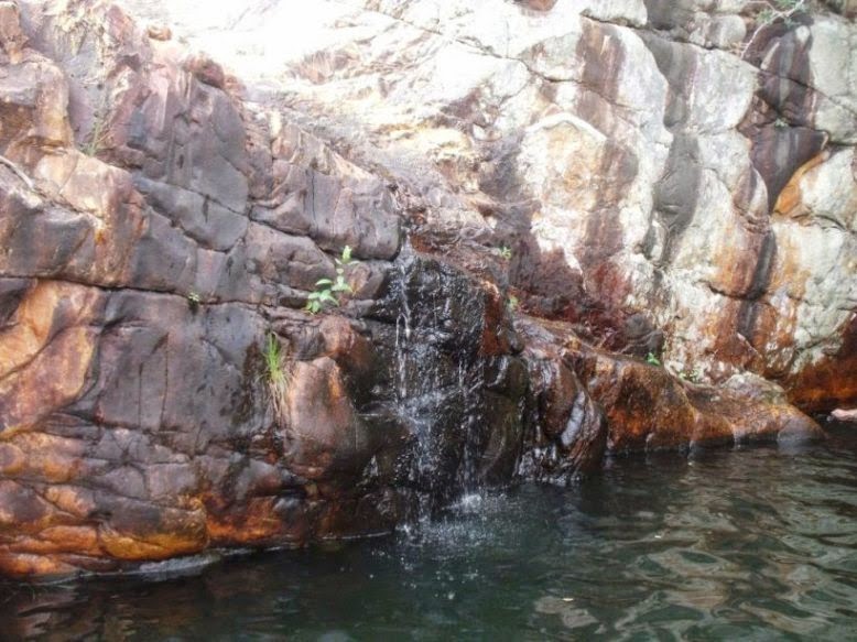 Tada Hills & Waterfalls - A Picture Album (Nellore - Andhra Pradesh ...