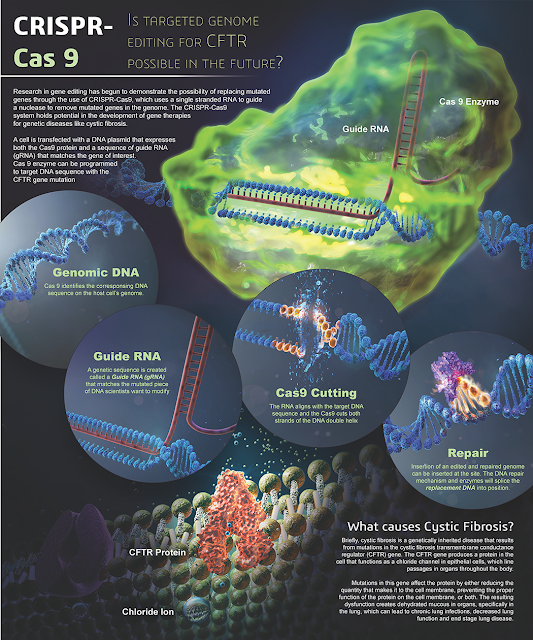 Can Gene Editing Techniques Like CRISPR-Cas9 Be Used to Replace Mutated ... Can Gene Editing Techniques Like CRISPR-Cas9 Be Used to Replace Mutated ...